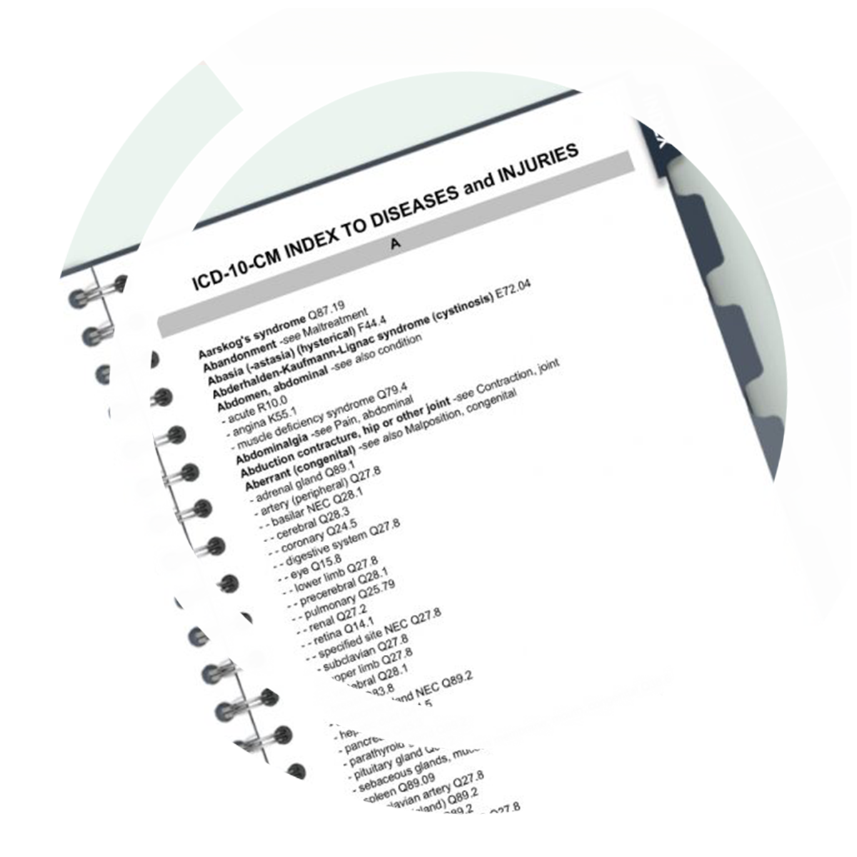 IMO Webinar LP 2022
